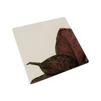 China Gray Black Mirror Stainless Steel Sheet 8K Stainless Steel Plate 3.0mm Thickness for sale