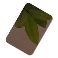 China PVD Coating Mirror Stainless Steel Sheet With Durability Shine for sale