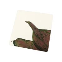 China Super Mirror Polished Stainless Steel Sheet Cut To Size Mirror Finish SS Sheet for sale