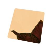 China 8k Cold Rolled Stainless Steel Sheet 201 0.8*1220*2440 SS Gold Mirror Sheet With Film for sale