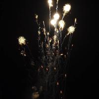 China Chinese 's 1.4 Pro Line Fireworks Mandarin 210 Shots 1000g Cake Pyrotechnics for US Market for sale