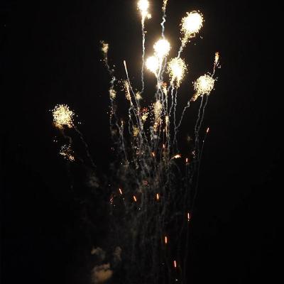 China Chinese 's 1.4 Pro Line Fireworks Mandarin 210 Shots 1000g Cake Pyrotechnics for US Market for sale