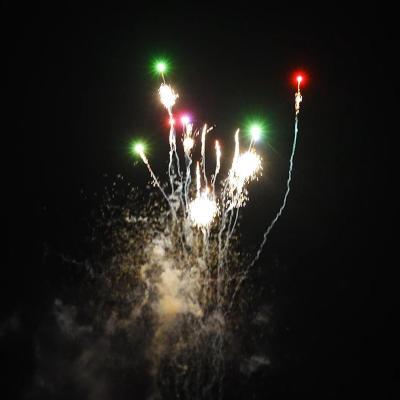 China Chinese 172 Shots Wholesale Cake Fireworks New Year Celebration Pyrotechnics 1.4G Pro Cake Fireworks With Special Effects for sale