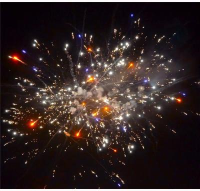 China Chinese Factory Wholesale 200G 16 Shots Fan Shape Consumer Cake Fireworks Custom Liuyang Fireworks Supplier 2025 for sale