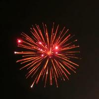 China Chinese Factory 4 Inch Display Shells Fireworks 1.3g Professional Pyrotechnics 2 3 4 5 6 7 8 Inch Display Fireworks For Sale for sale
