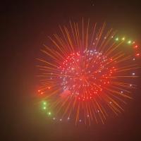 China Liuyang Factory Professional Fireworks Pyrotechnics Shell 2 3 4 5 6 7 8 Inch Display Fireworks Shells For Celebration 2025 for sale
