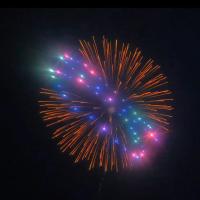 China 1.3g Professional Fireworks Display 2025 Mandarin Professional Pyrotechnics 3 4 5 6 8 10 Inch Display Shell Fireworks for sale