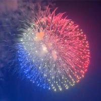 China Liuyang Mandarin Pyrotechnics 4'' 6'' 8 Inch Display Shells Fireworks 1.3G The Best Choice for Outdoor Celebrations for sale