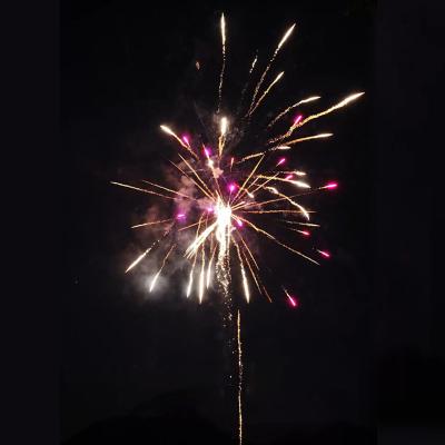 China Chinese Factory Cheap Price Fireworks Liuyang 100 Shots 1.4G Consumer Cake Fireworks Importing Fireworks From China for sale