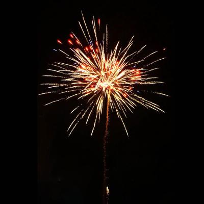 China Liuyang Pyrotechnics 100 Shots Consumer Wholesale Cake Fireworks 2025 New Fireworks In Amazing Effect Fireworks Cake for sale
