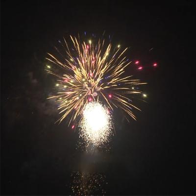 China 88 Shots High Quality Lower Price CE Approved Display Wholesale Consumer Chinese Cake Fireworks From Liuyang Factory for sale