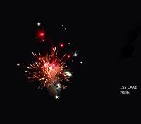 China 15 Shots 200g Cake Fireworks From Liuyang High Quality Chinese Pyrotechnic With Special Effects for sale