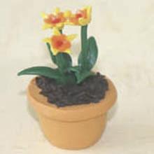 China Model Ceramic pot Flower CF61 for sale
