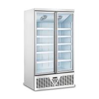 China Commercial Double-Door Vertical Chiller Ice Cream Freezer with Adjustable Shelves LED Lighting Supermarket Cold Storage Display for sale