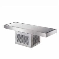 China Stainless Steel Exterior Hotel Buffet Built-In Cold Plate Freezer Fresh Food Display Table Commercial Refrigeration Equipment for sale
