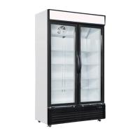 China Double Glass Door Commercial Vertical Refrigerator for sale