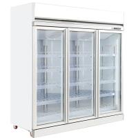 China Fan Cooling Commercial Display Freezers for Displaying Beverages in Glass Door and 220V Voltage for sale