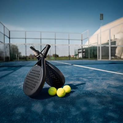 China LDK Carbon Fiber Padel Racket 340-380g 455-460mm with Wooden Frame and Polyester Net for Professional Competition for sale