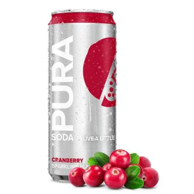 China Kiwi Flavor Carbonated Alcoholic Beverage with 3.6% Brix in PET, Glass, and Aluminum Cans for sale