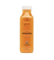 China 16oz Glass Energy Drink Bottle with Custom Logo Printing - Natural Fruit Flavor Aloe Vera Beverage for sale