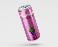 China 12oz 4.5% ABV Fruity Flavor Canned Cocktail Drink 100 Calories Vegan Friendly for sale