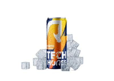China Private Label Energy Drink 300ml Can OEM Vitamin Supplement with HACCP GMP FSSC Certification for sale