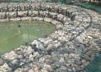 China Gabion Mesh for sale