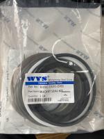 China Wonyoung Seal Corp Genuine Quality Parts ZAX200-3 4654421 Boom Seal Kit for sale
