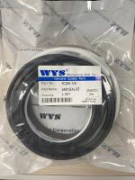 China Wonyoung Hydraulic Oil Seal Corp SPGA 120 PISTON SEAL RU+NY 8 EA HN for sale