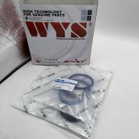 China Stable WYS EDT430 Hydraulic Breaker Seal Kit Standrad Repair Parts for sale
