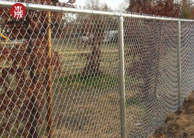 China 2M Hot Dipped Galvanized Vinyl Coated Chain Link Fence 60x60mm for sale