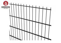 China 656 868 Metal Wire Fence Powder Coated 2D Double Wire for sale