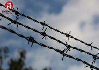 China 7.5cm Distance 3cm Length Galvanized Barbed Wire 10 Gauge for sale