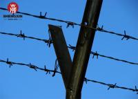 China Hot dipped Galvanized Barbed Wire For Security Fence for sale