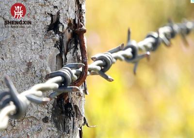 China Hot Dipped Iron Galvanized Barbed Wire PVC Coated For Military for sale