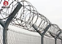 China 1.25m Galvanized Barbed Wire Anti Wall Climbing Spikes / Security Wall Spikes Razor for sale