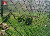 China Durable 75x75mm Chain Link Mesh Fence PVC Coated Diamond Mesh for sale