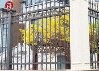 China Rodent Proof 2100mmx2400mm Steel Fence Panel Metal Wrought Iron Fence for sale