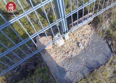 China Powder Coated Galvanized Double Wire Fence 656/868 for sale
