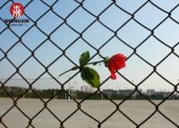 China 60x60mm Chain Wire Mesh Fence Pvc Coated Galvanized With Posts for sale
