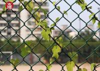 China 4.5mm Wire Mesh Chain Link Fence Black Color Pvc Coated Galvanized For Backyard for sale