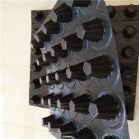 China 10m/20m/30m HDPE Drainage Dimpled Membrane for Foundation Dampproofing and Wall Waterproofing Long-Lasting Solution for sale