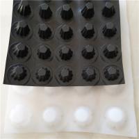 China 10m/20m/30m HDPE Drainage Dimpled Membrane for Foundation Dampproofing and Wall Waterproofing Long-Lasting Solution for sale