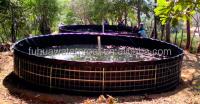 China 40 Mil 80mil HDPE Geomembrane Liners for Dam / Landfill / Water Pool / Farm Fish Meeting Customer Requirements for sale