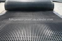 China 0.6mm Thickness 20mm Dimple Height HDPE Drainage Plastic Waterproof Sheet for Earthwork and Other Products for sale