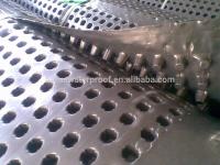 China 0.6mm Thickness 20mm Dimple Height HDPE Drainage Plastic Waterproof Sheet for Earthwork and Other Products for sale