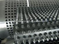 China 0.6mm Thickness 20mm Dimple Height HDPE Drainage Plastic Waterproof Sheet for Earthwork and Other Products for sale