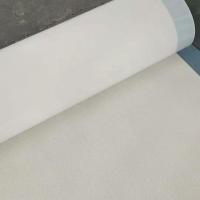 China 1.0m 2.0m Width HDPE Self Adhesive Membrane for Waterproofing with Modern Design and Granules of Blind Wall Below Ground for sale