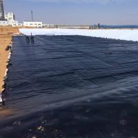 China 2.05m Width HDPE Geomembrane Liner M2 ISO9001 Certified and Long-Lasting Material for sale