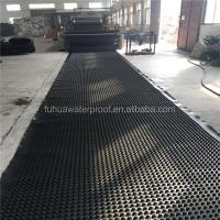 China Easy Installation HDPE Plastic Drainage Cell for Waterproof Roof Garden or Drainage System for sale